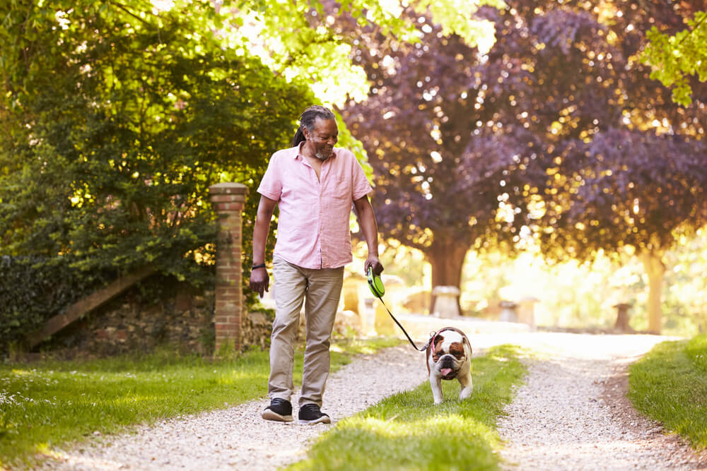 Activities for People With Back Pain | Whatcom PT